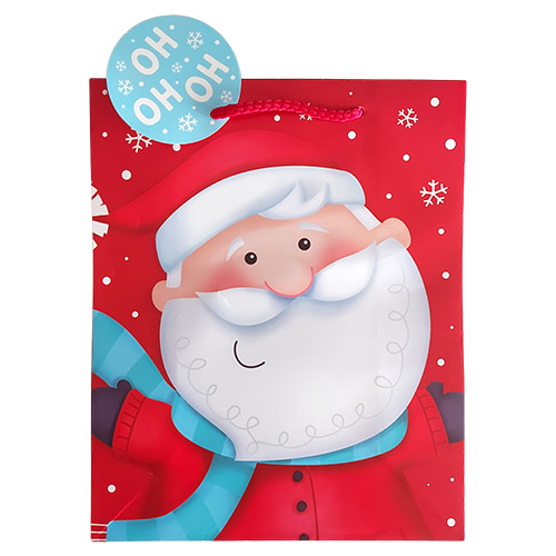 Tom Smith Medium Santa's Face Gift Bag | British Corner Shop